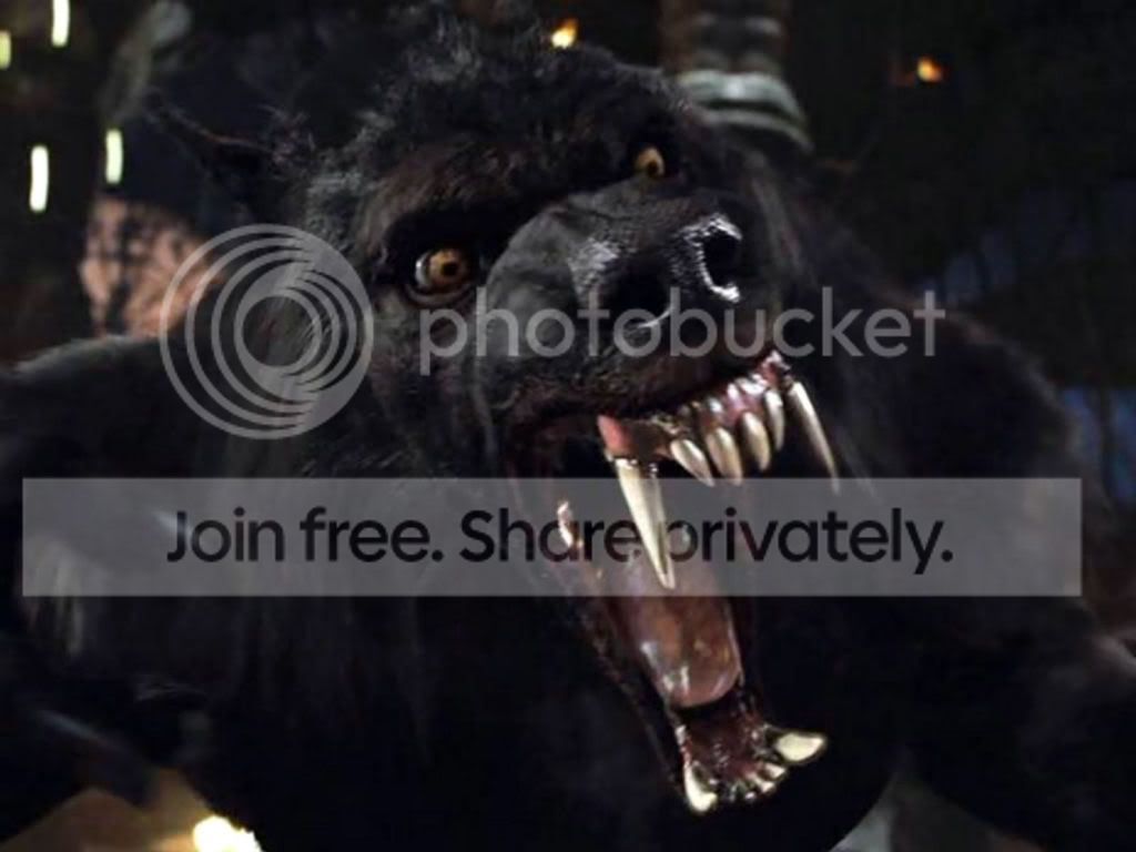 what animal/furrie are you | Page 1 | The Silvermoon Pack | Guild ...