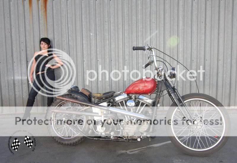 Harpoon's Panhead in the new Horse | Jockey Journal Forum