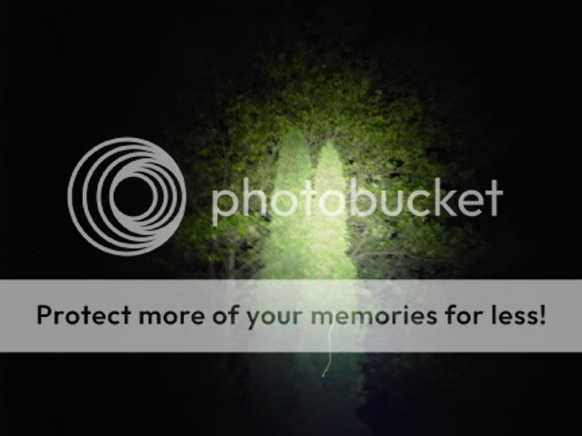 Wiseled Tactical Review - Old & New models comparison, with Beamshots ...