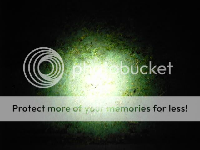 Wiseled Tactical Review - Old & New models comparison, with Beamshots ...