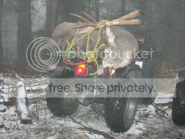 Pictures of Hunters and their Fancy Quads - Page 25