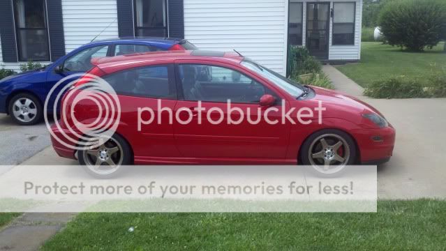 Red Calipers + Red SVT = Winning! | Focus Fanatics Forum
