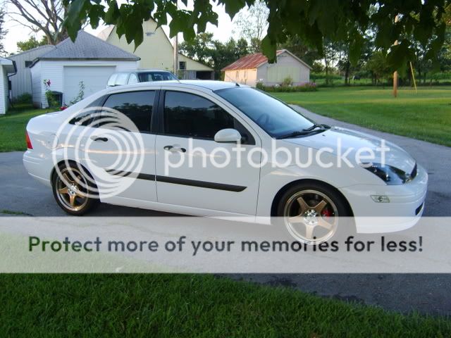 New Yellow Fogs on the SVT!!! | Focus Fanatics Forum